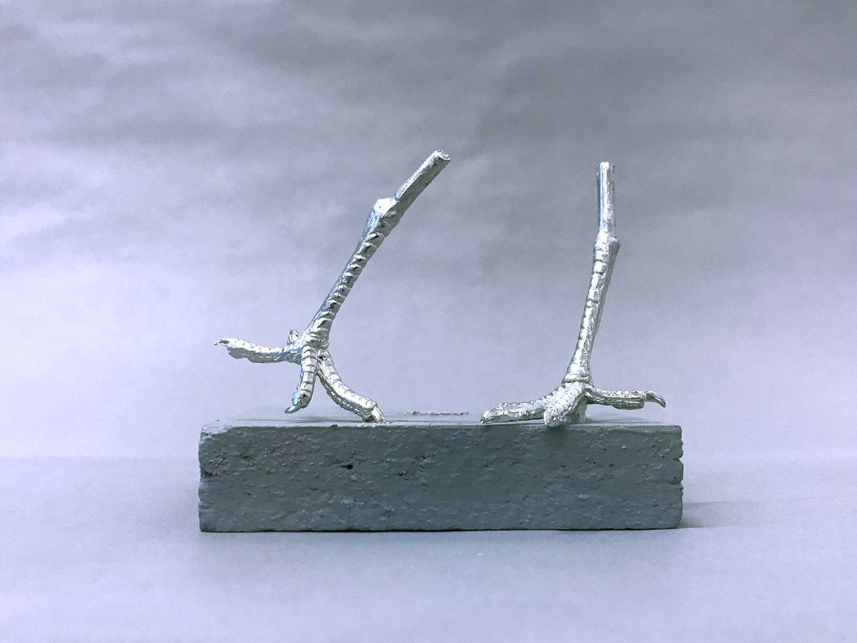 Roadrunner 1/2 scale Feet – GugeInstitute